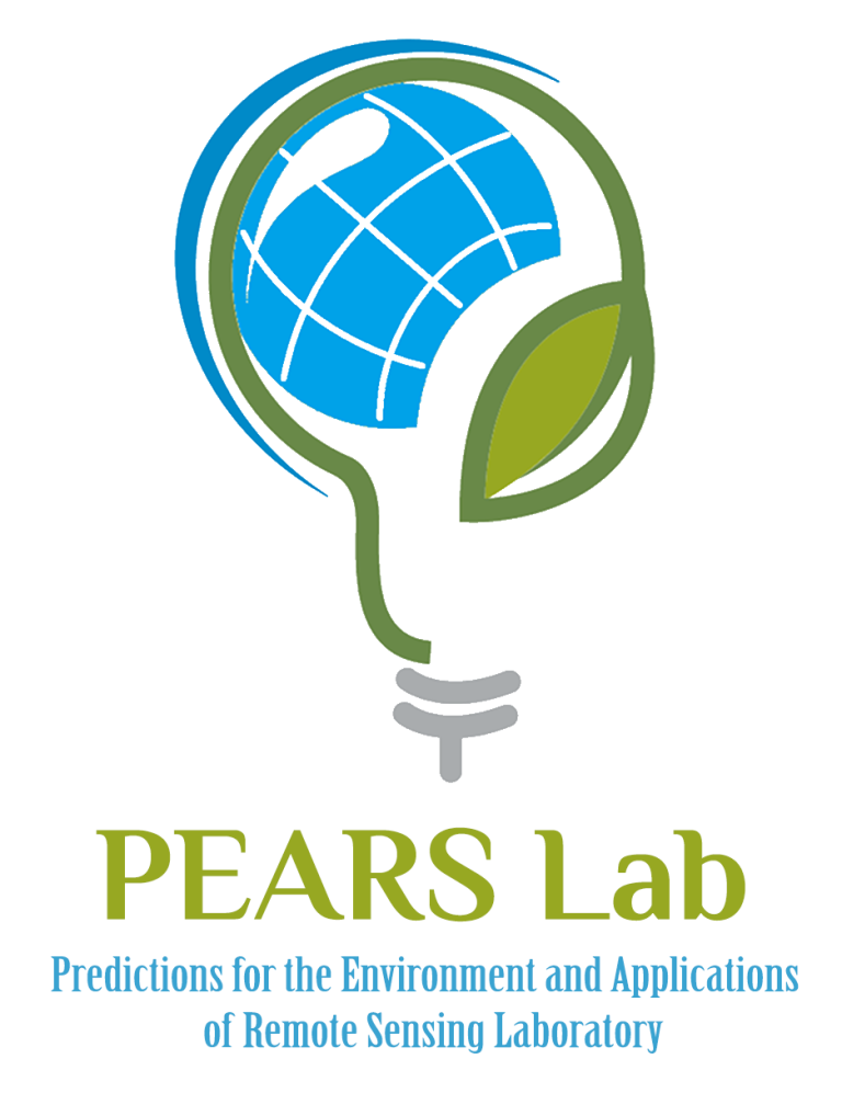 Predictions for the Environment and Application of Remote Sensing ...