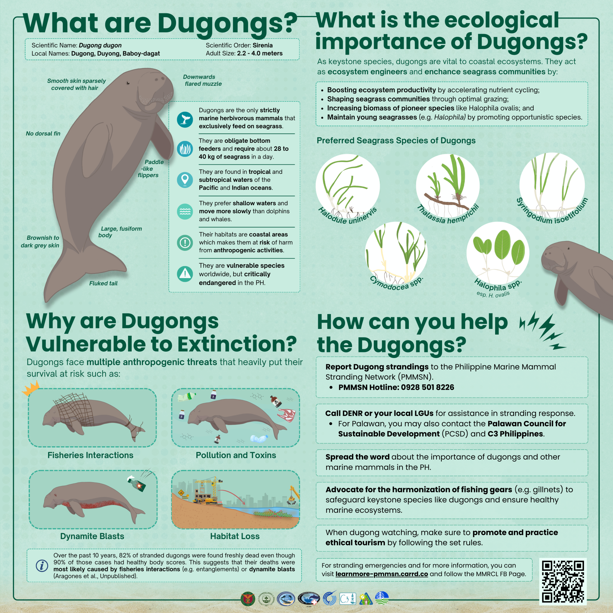 The What, How, and Why Dugongs Matter - Institute of Environmental ...